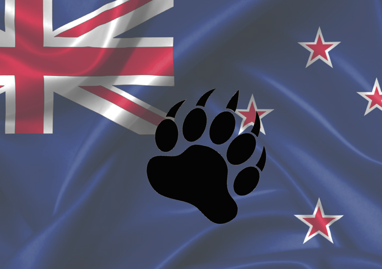 11 years of Mr. Bear New Zealand